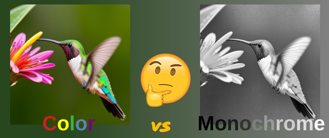 Color And Monochrome Cameras Under The Hood - System and Optics